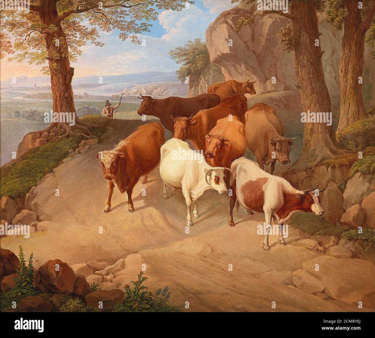 Josef Feid - Bringing the Herd down from the Alpine Pastures Stock ...