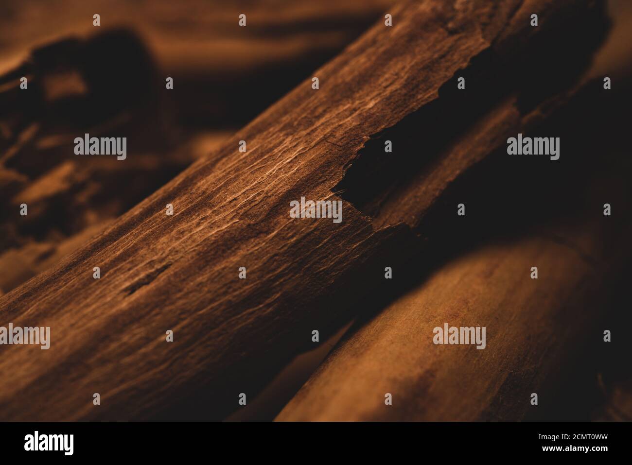 Macro close up portrait of cinnamon sticks , studio lighting, selective ...