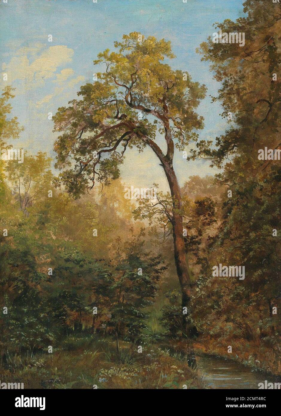 Josef Feid - Woodland Interior Stock Photo - Alamy