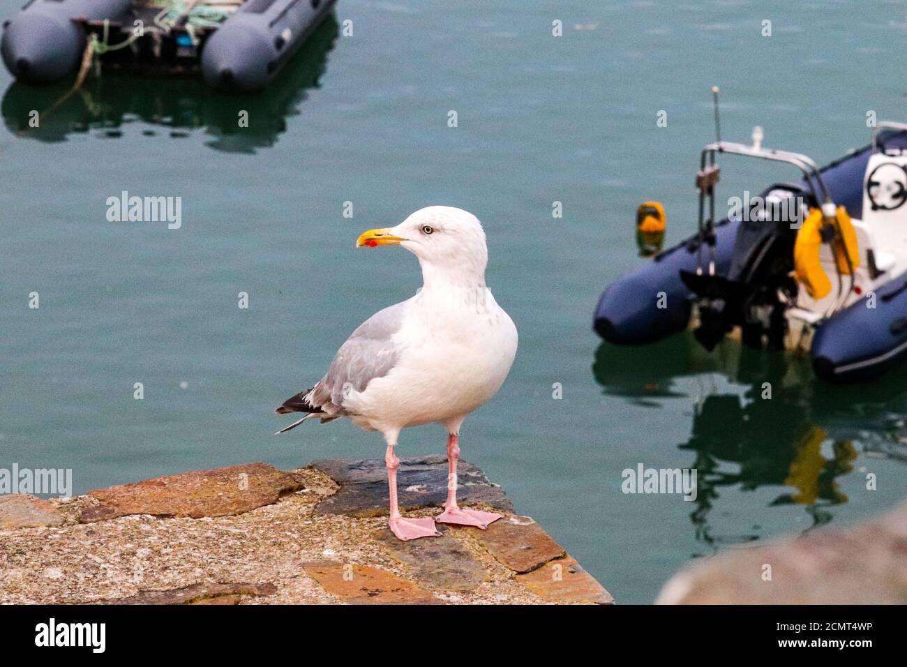 Thief sand hi-res stock photography and images - Alamy