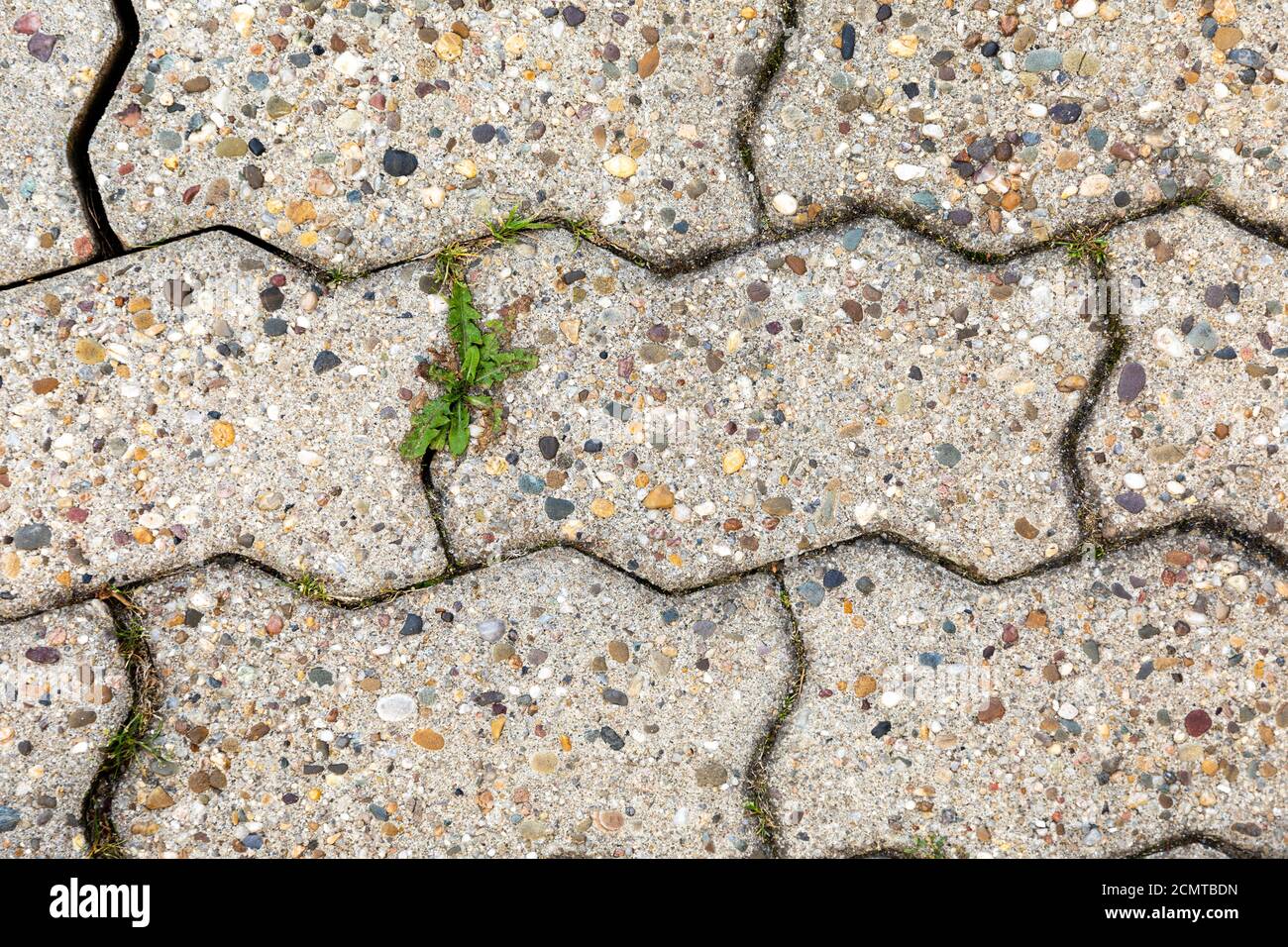 Top view of a cobblestone pavement at daylight Stock Photo - Alamy