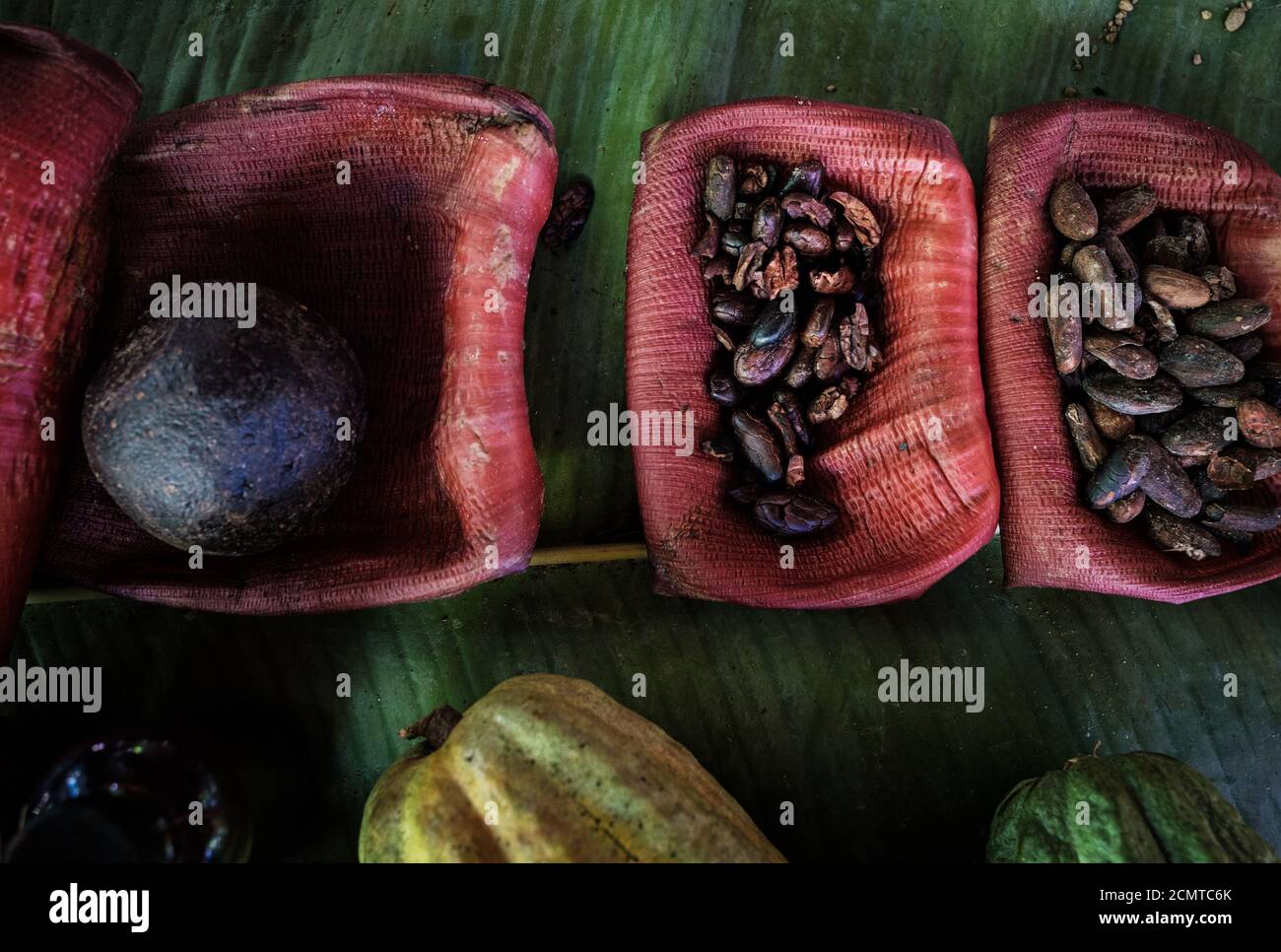 Cocoa beans farm hi-res stock photography and images - Alamy