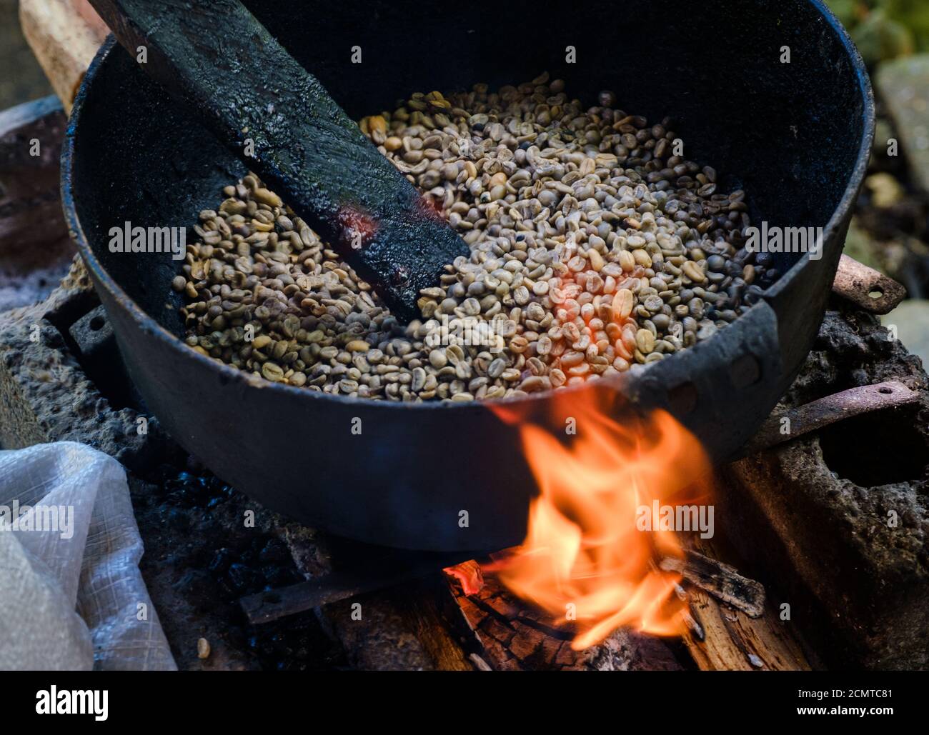 Cocoa farm hi-res stock photography and images - Alamy