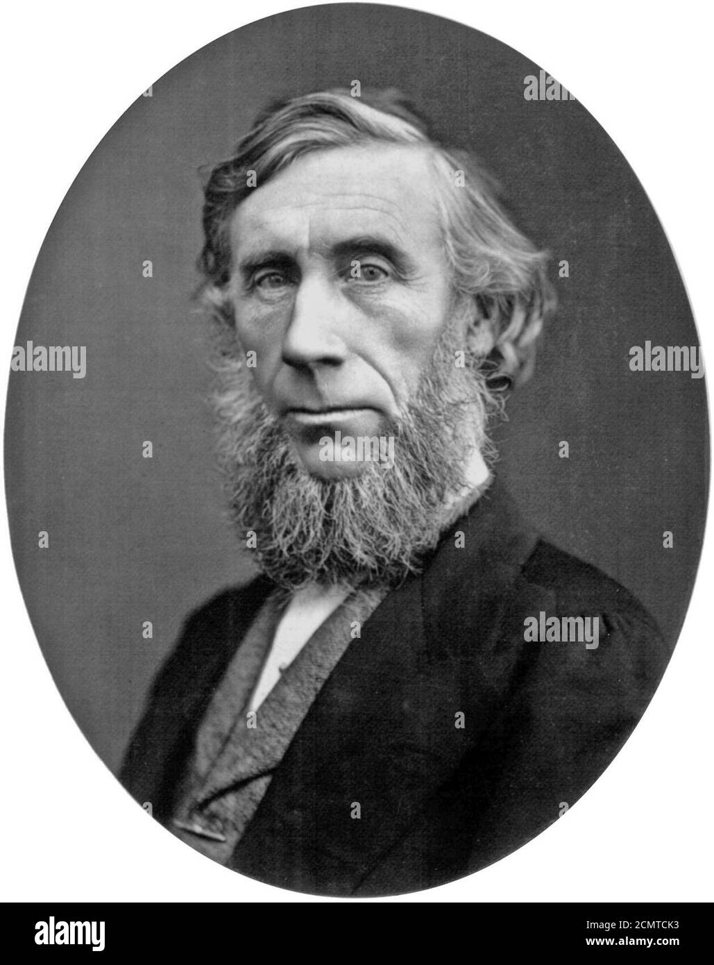 John tyndall tree hi-res stock photography and images - Alamy