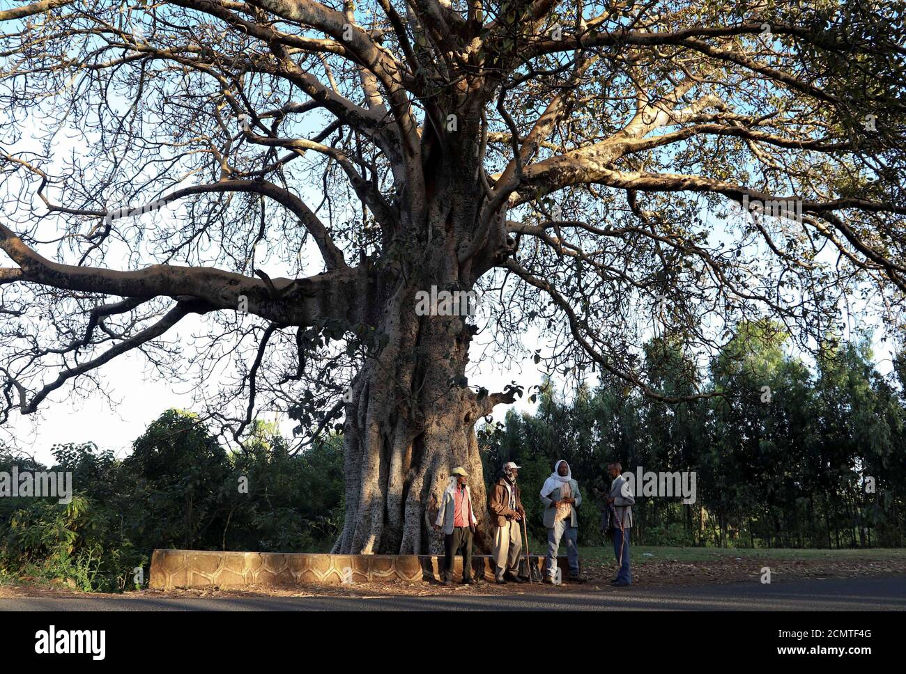 Oromos hi-res stock photography and images - Alamy