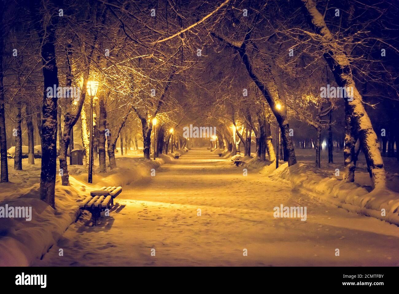 lantern night snow tree Stock Photo - Alamy