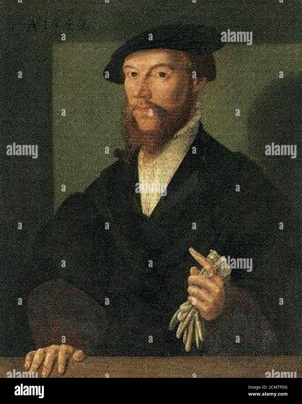 John Calvin 01 Stock Photo - Alamy