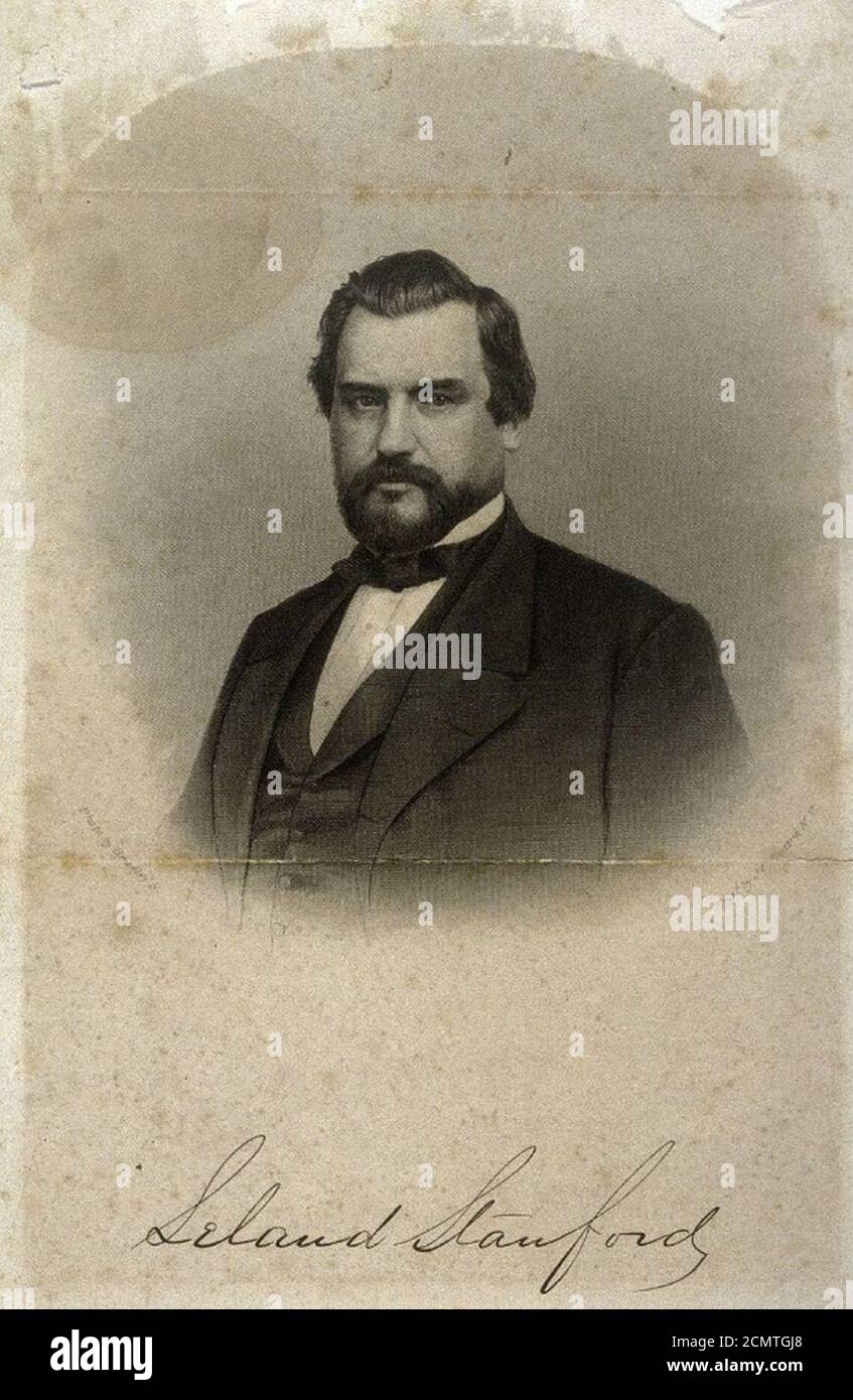 John chester hi-res stock photography and images - Alamy
