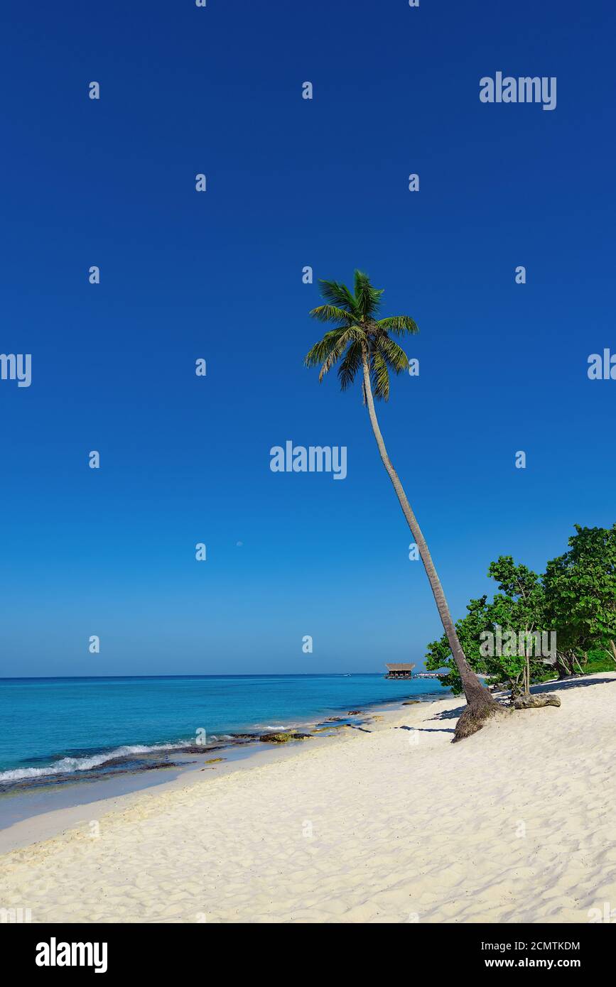 Beautiful caribbean landscape hi-res stock photography and images - Alamy