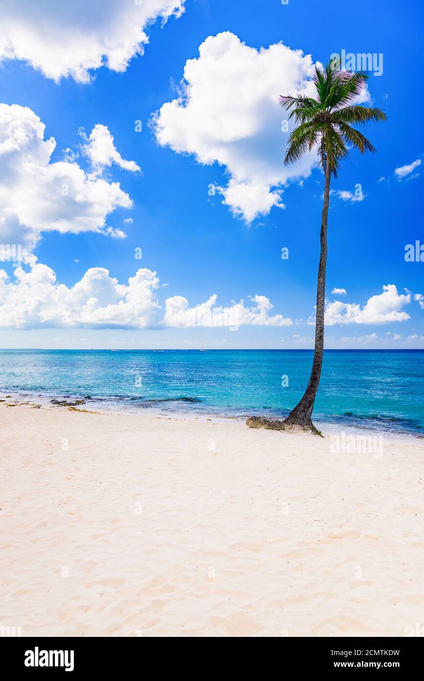Beautiful caribbean landscape hi-res stock photography and images - Alamy