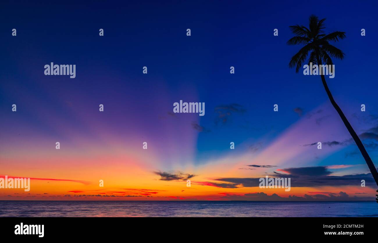 beautiful sunset of the caribbean Stock Photo - Alamy