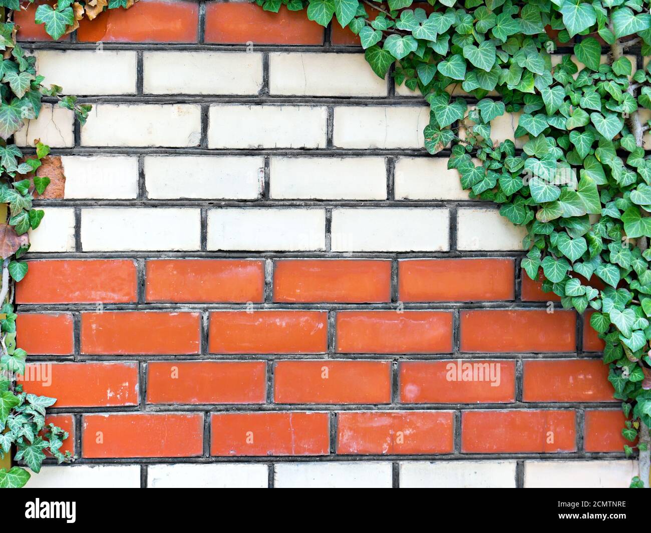 Ivy and brick hi-res stock photography and images - Alamy