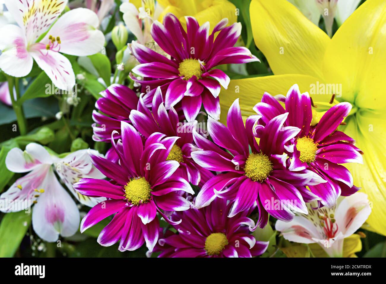 different colorful flowers in the background Stock Photo - Alamy