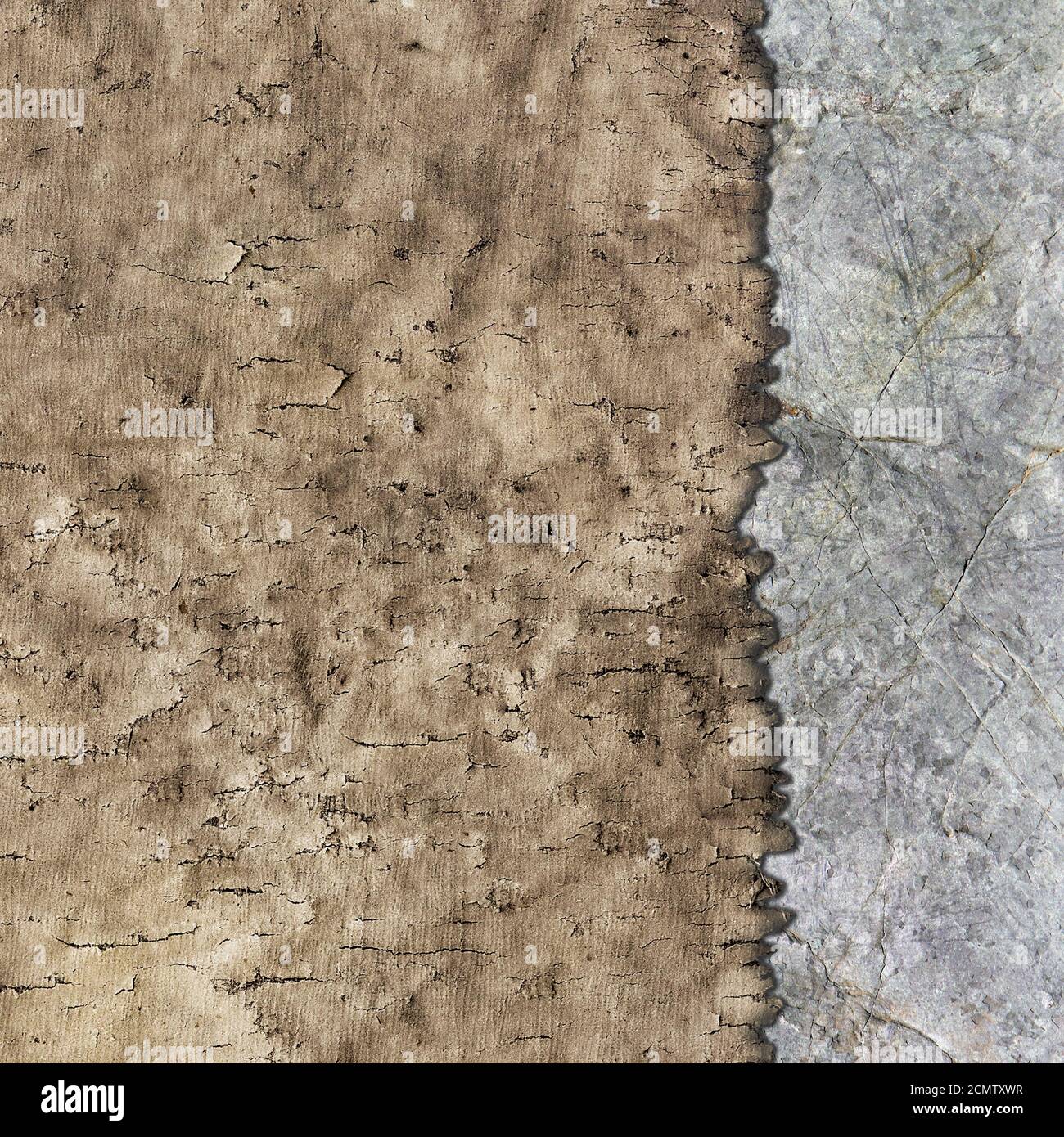 texture of old parchment and stone as background Stock Photo - Alamy