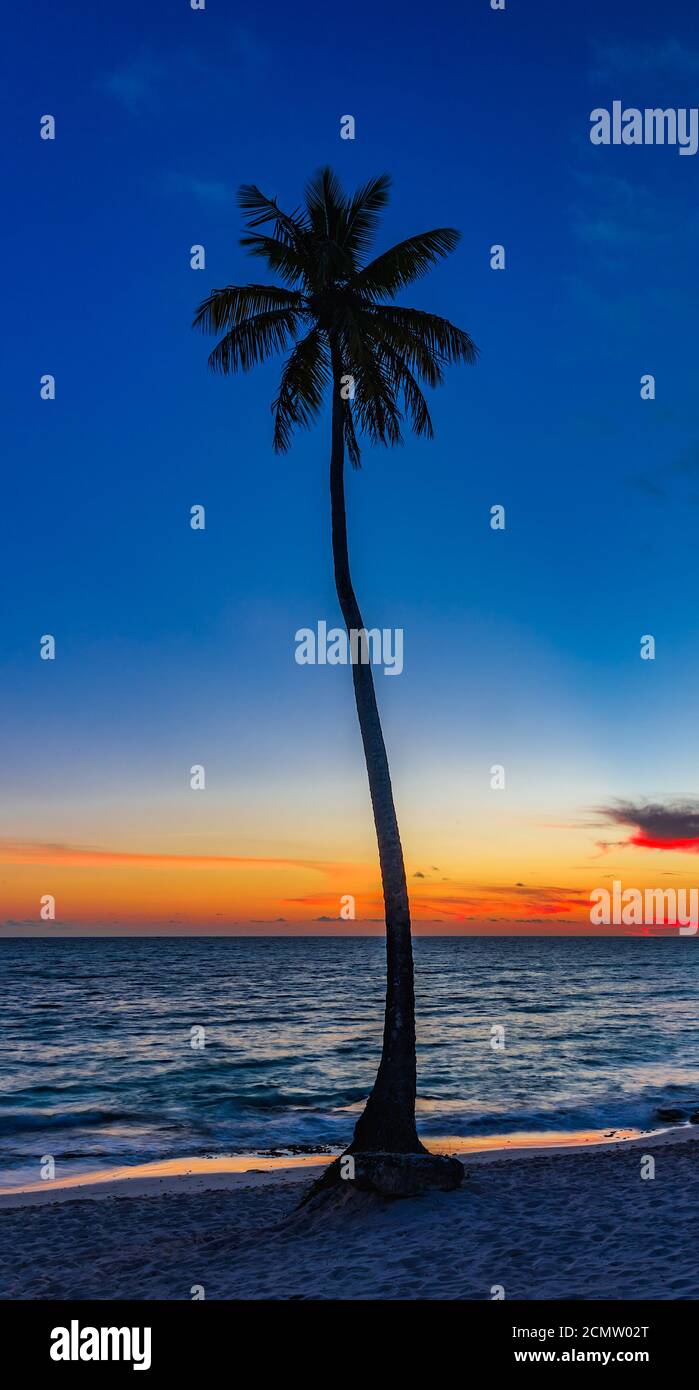 beautiful sunset of the caribbean Stock Photo - Alamy