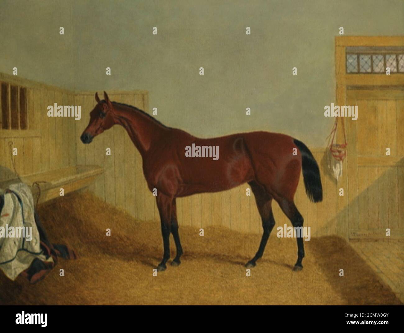 Beeswing hi-res stock photography and images - Alamy