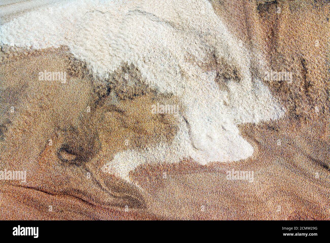 Safari colors hi-res stock photography and images - Alamy