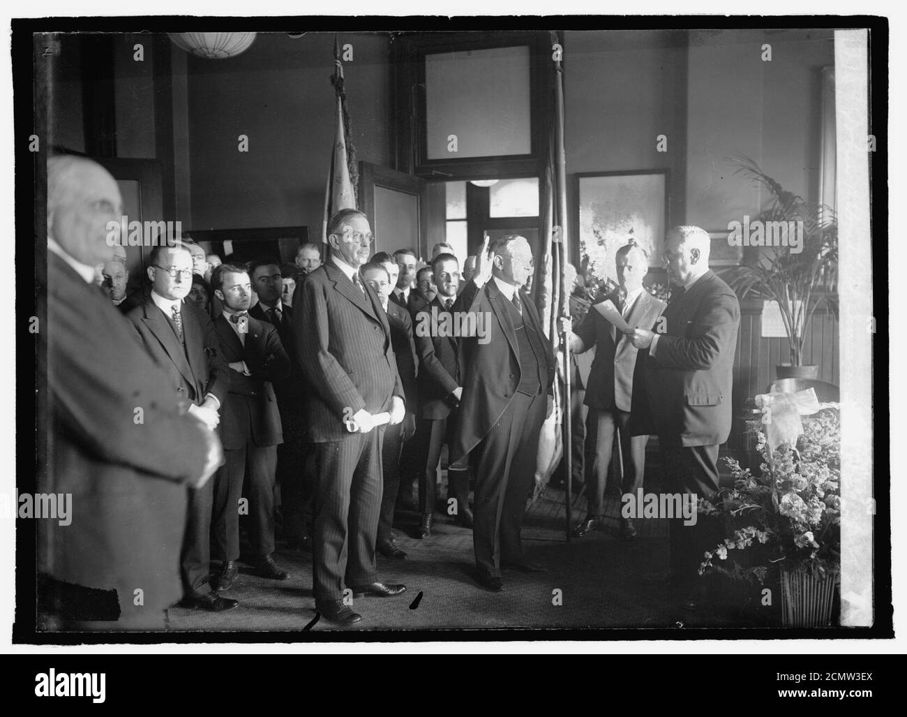 Swearing tree hi-res stock photography and images - Alamy