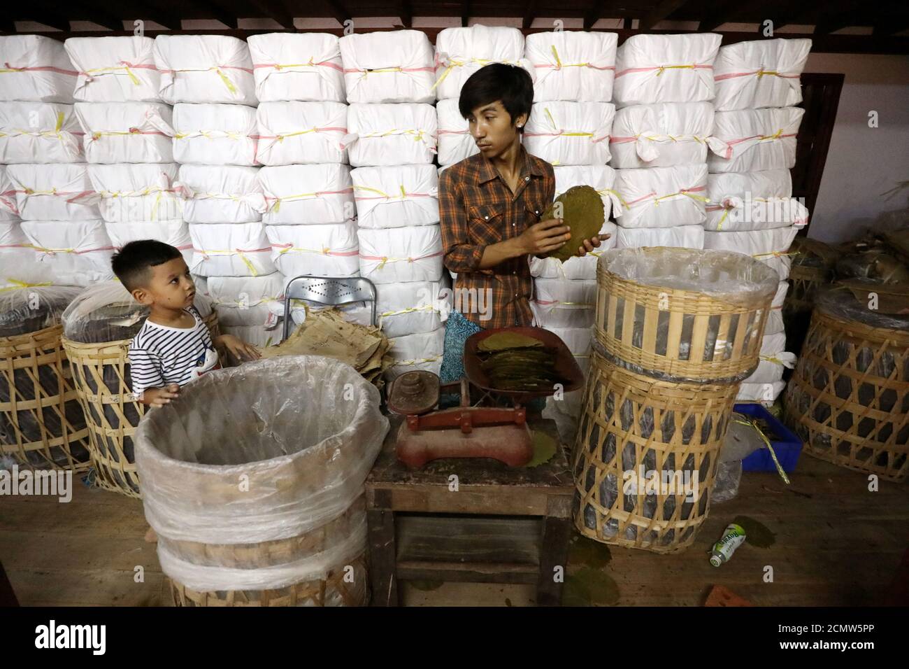 Cheroot Factory High Resolution Stock Photography and Images - Alamy