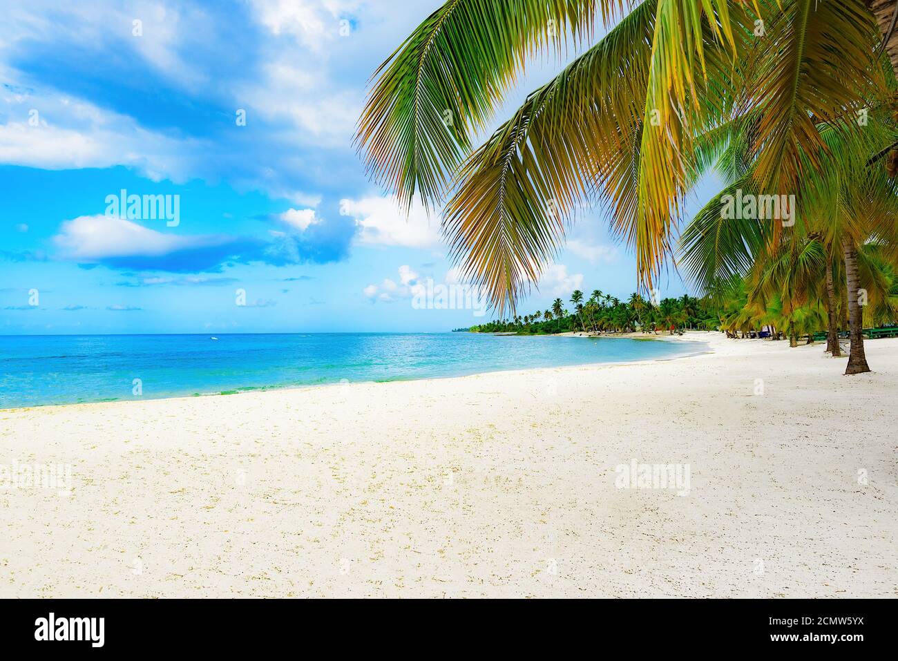 paradise tropical beach Stock Photo - Alamy