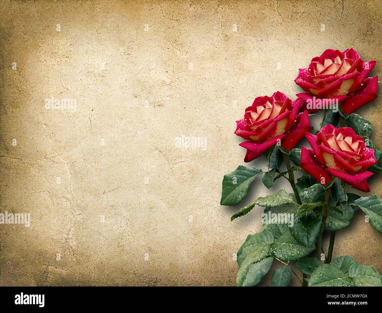 Vintage card for congratulations with three red roses in vintage style ...