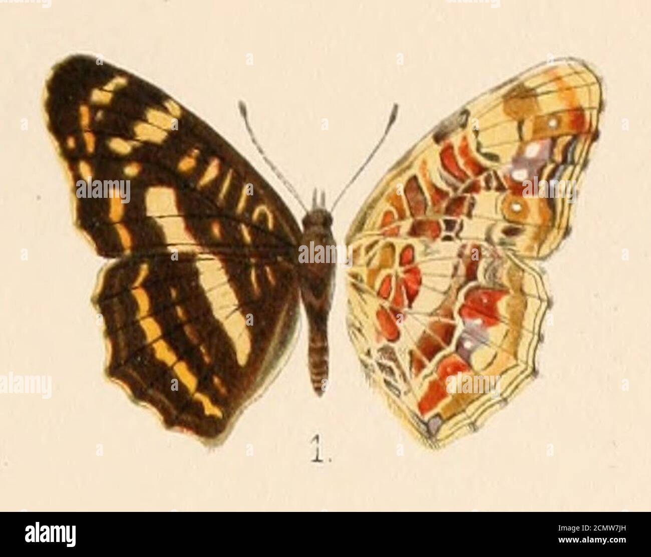 John henry leech hi-res stock photography and images - Alamy