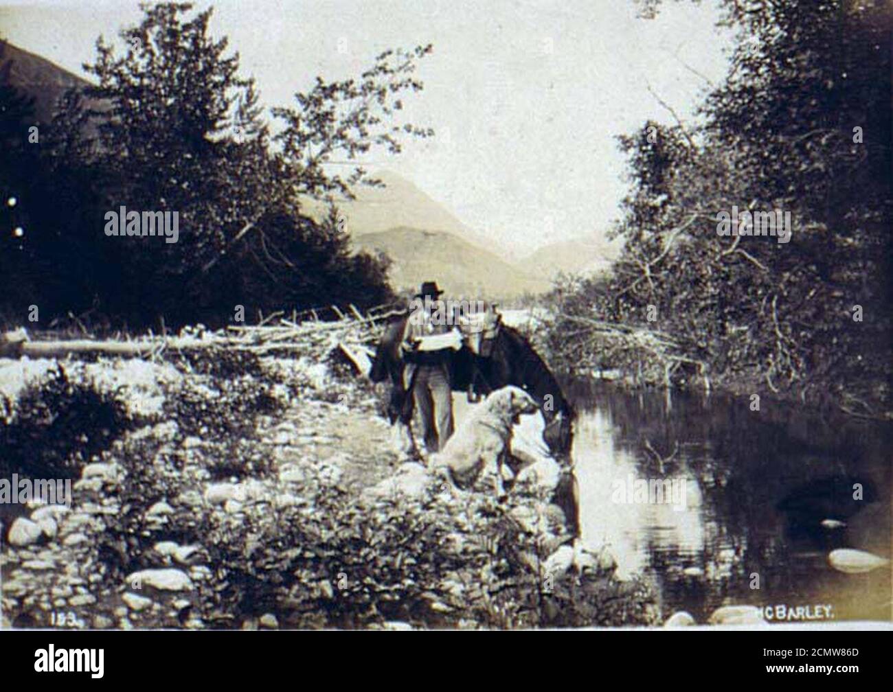 John Hislop chief surveyor for the White Pass & Yukon Railway Skagway ...