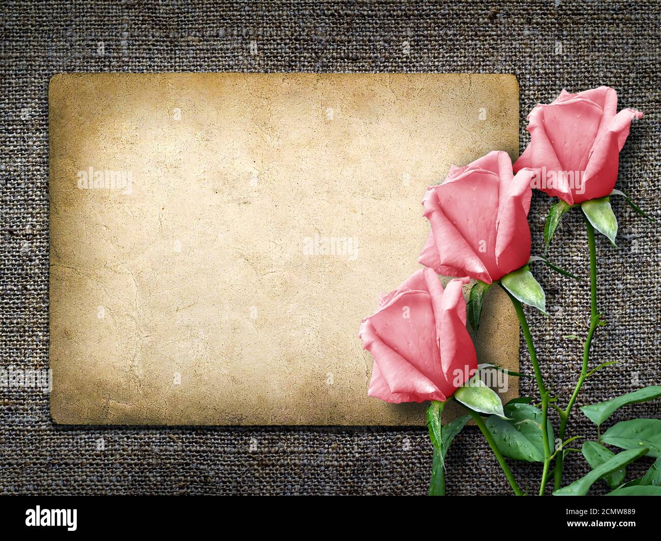 Card for invitation or congratulation with yellow rose in vintage style ...