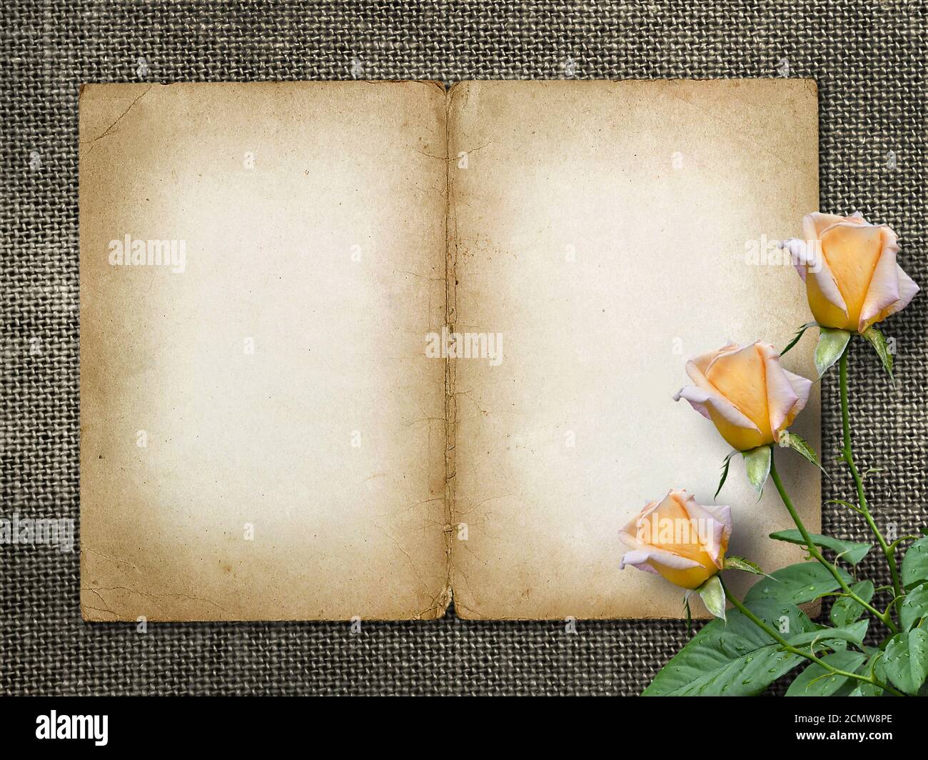 Card for invitation or congratulation with yellow rose in vintage style ...