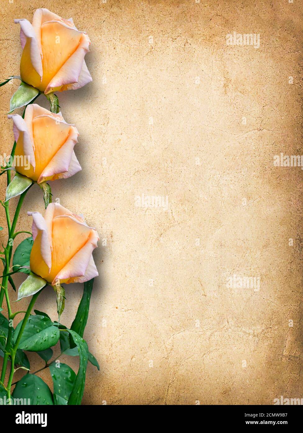 Vintage card for congratulations with yellow roses Stock Photo - Alamy