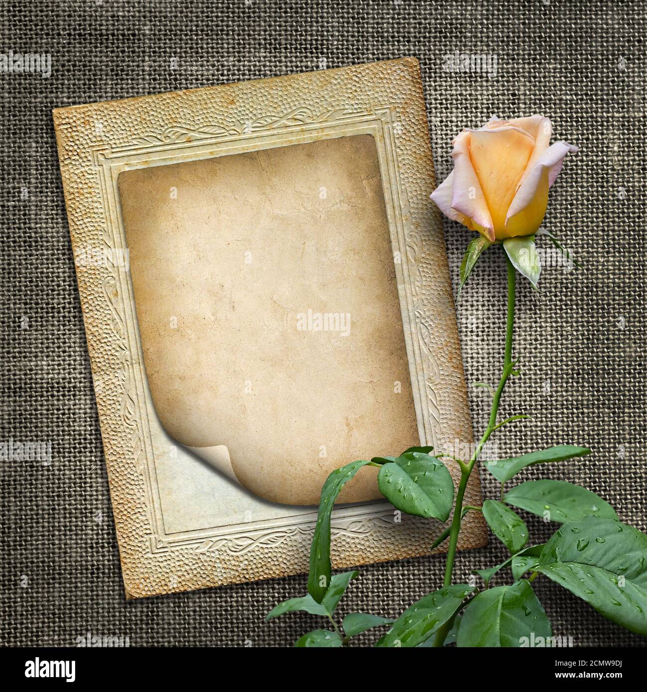 Card for invitation or congratulation with yellow rose in vintage style ...