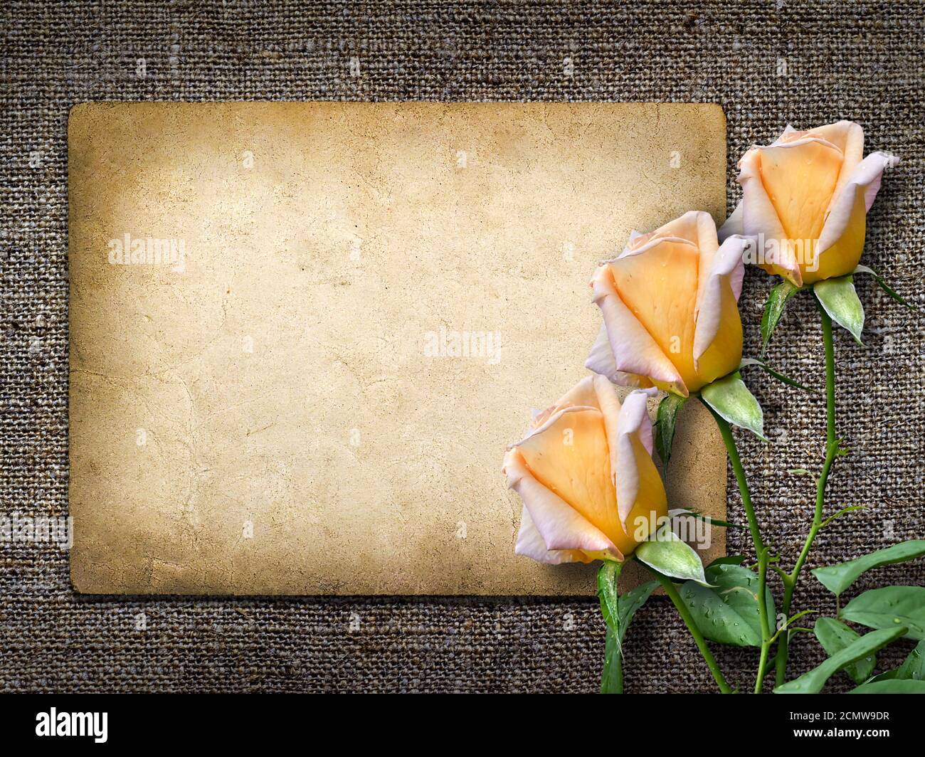 Card for invitation or congratulation with yellow rose in vintage style ...