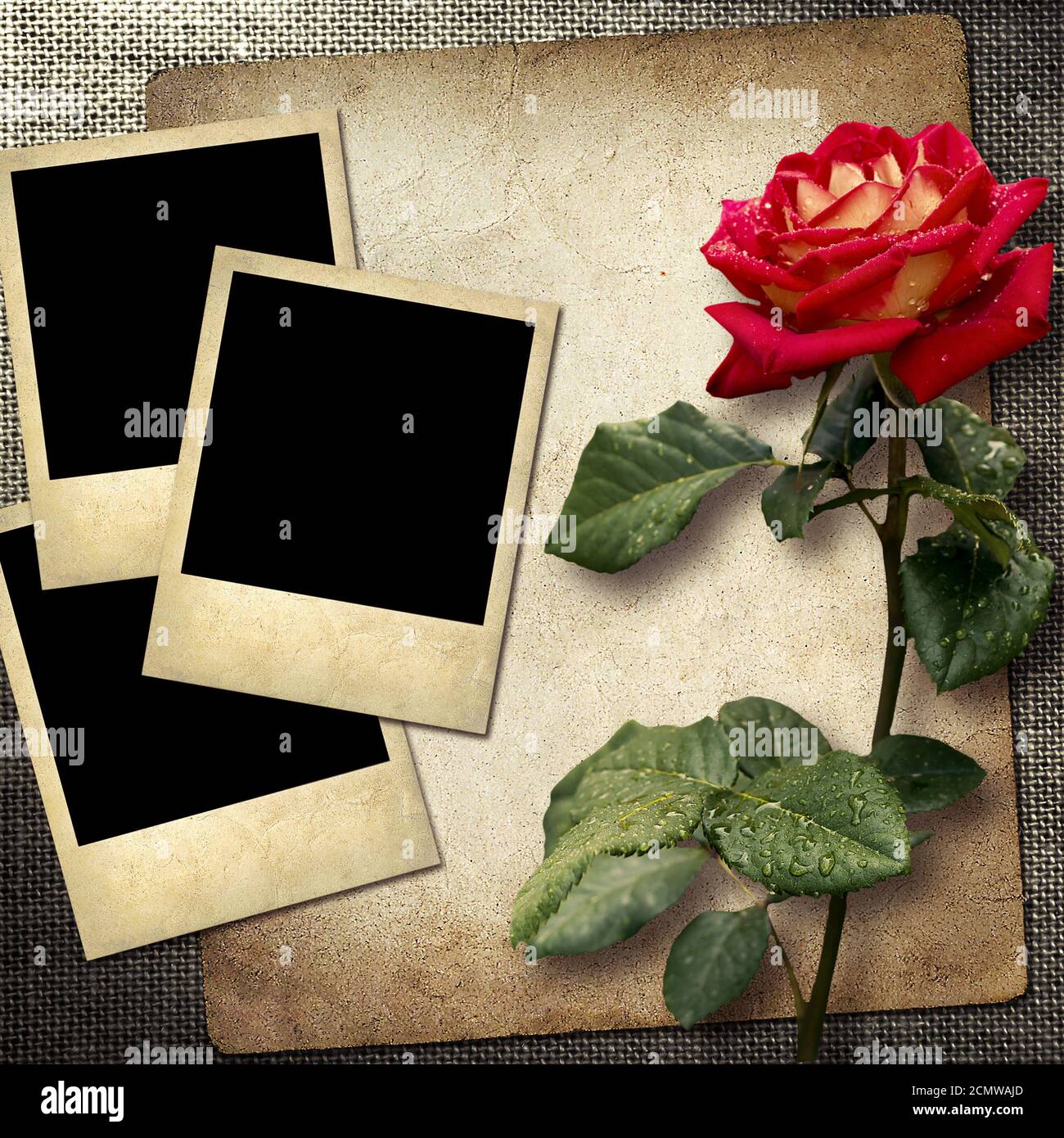 Old-style photo on a linen background with red roses in vintage style ...