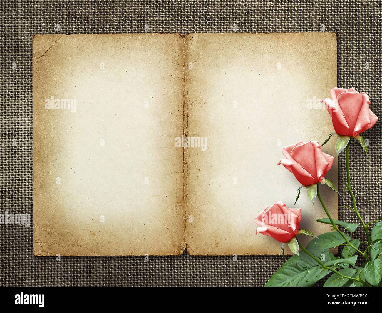 Card for invitation or congratulation with yellow rose in vintage style ...