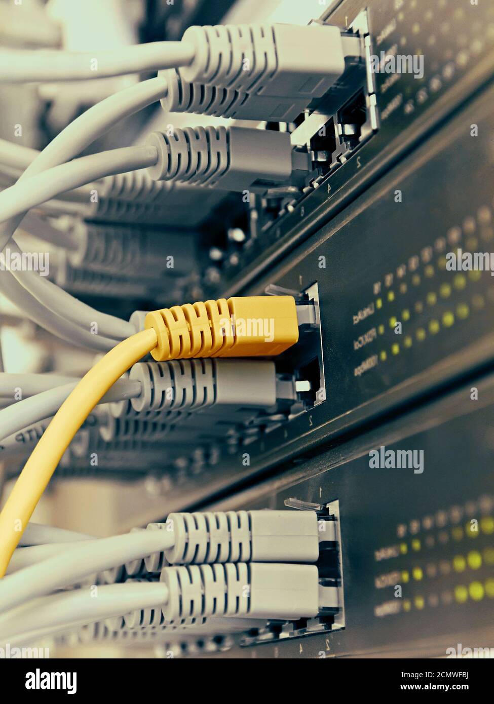 Patch Panel server rack with gray cords in the background Stock Photo ...