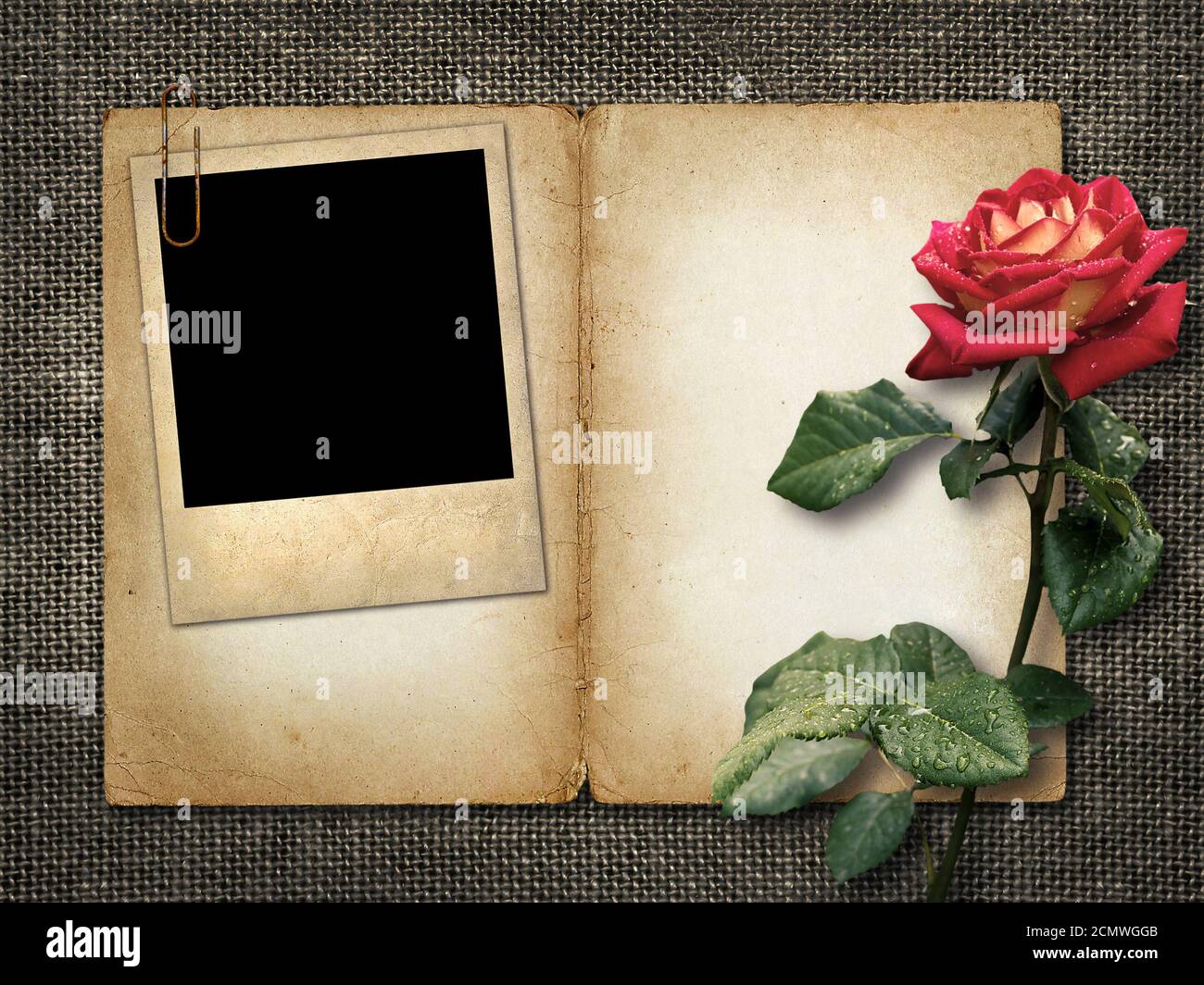 Old Invitation Card High Resolution Stock Photography and Images - Alamy