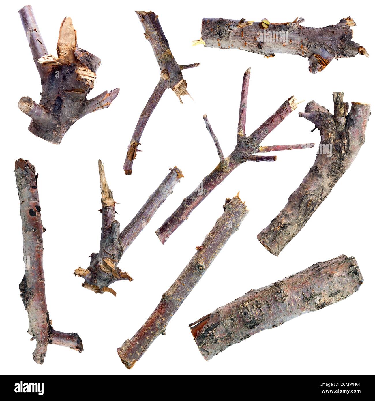 Burnt tree branches Cut Out Stock Images & Pictures - Alamy