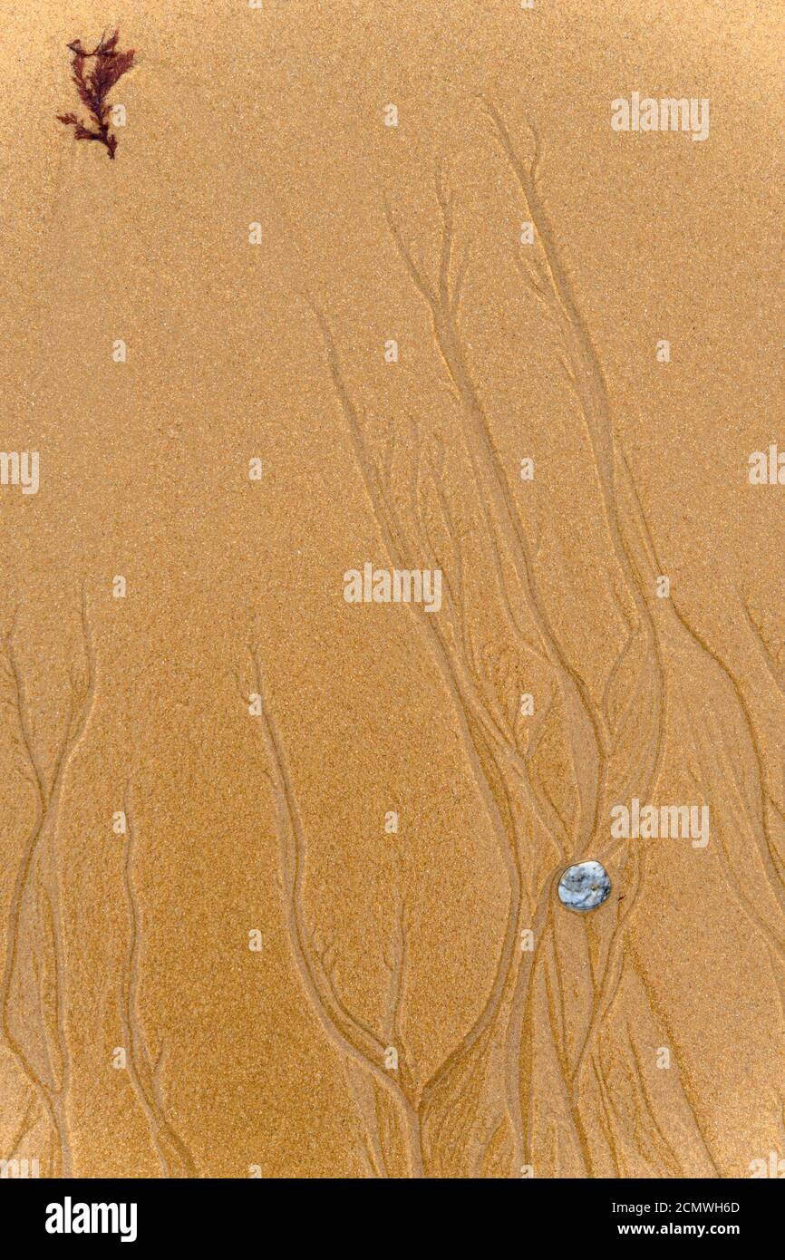Natural Sand Art of the Beach atlantic ocean Stock Photo - Alamy