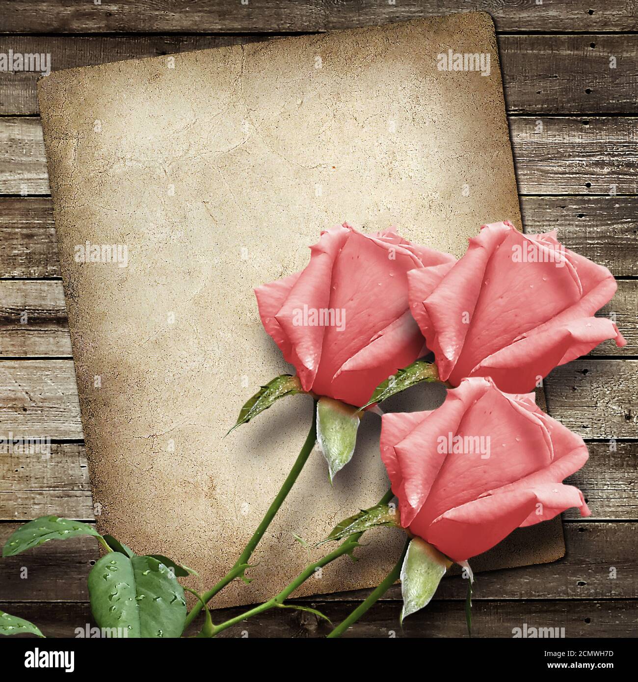 Antique pink roses hi-res stock photography and images - Alamy