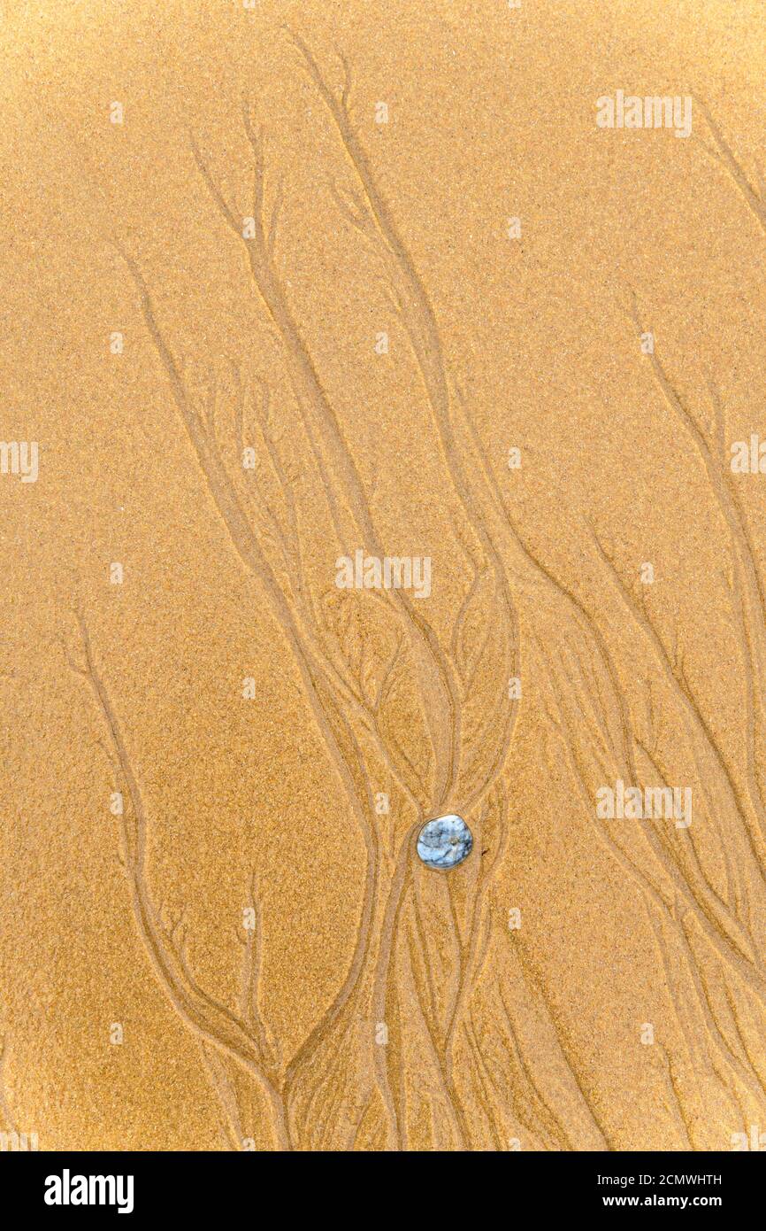 Natural Sand Art of the Beach atlantic ocean Stock Photo - Alamy