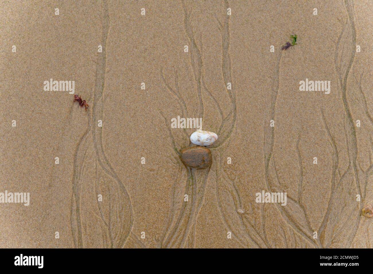 Natural Sand Art of the Beach atlantic ocean Stock Photo - Alamy