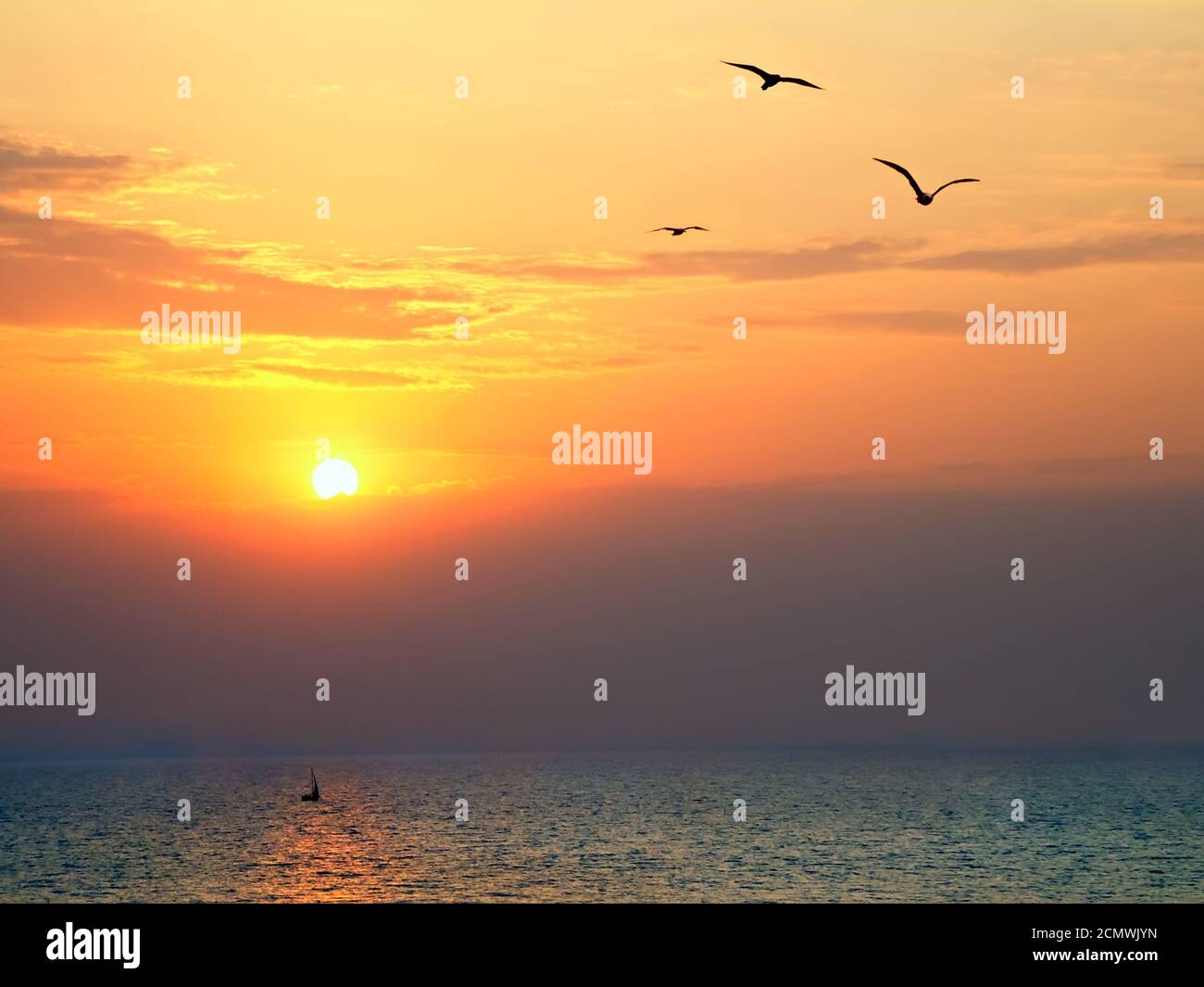 Sunset with foreground hi-res stock photography and images - Alamy