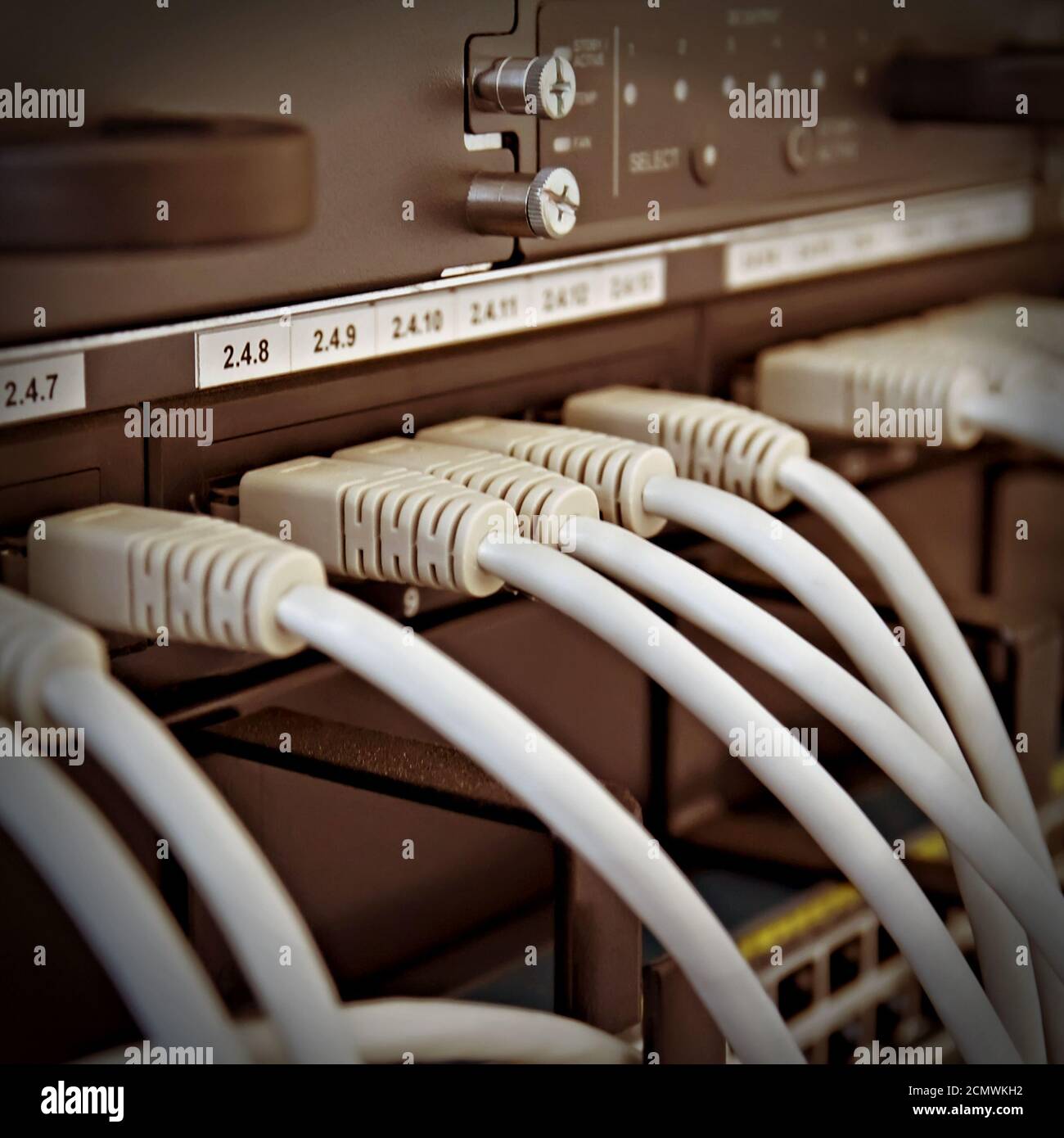 Patch Panel server rack with gray cords Stock Photo - Alamy