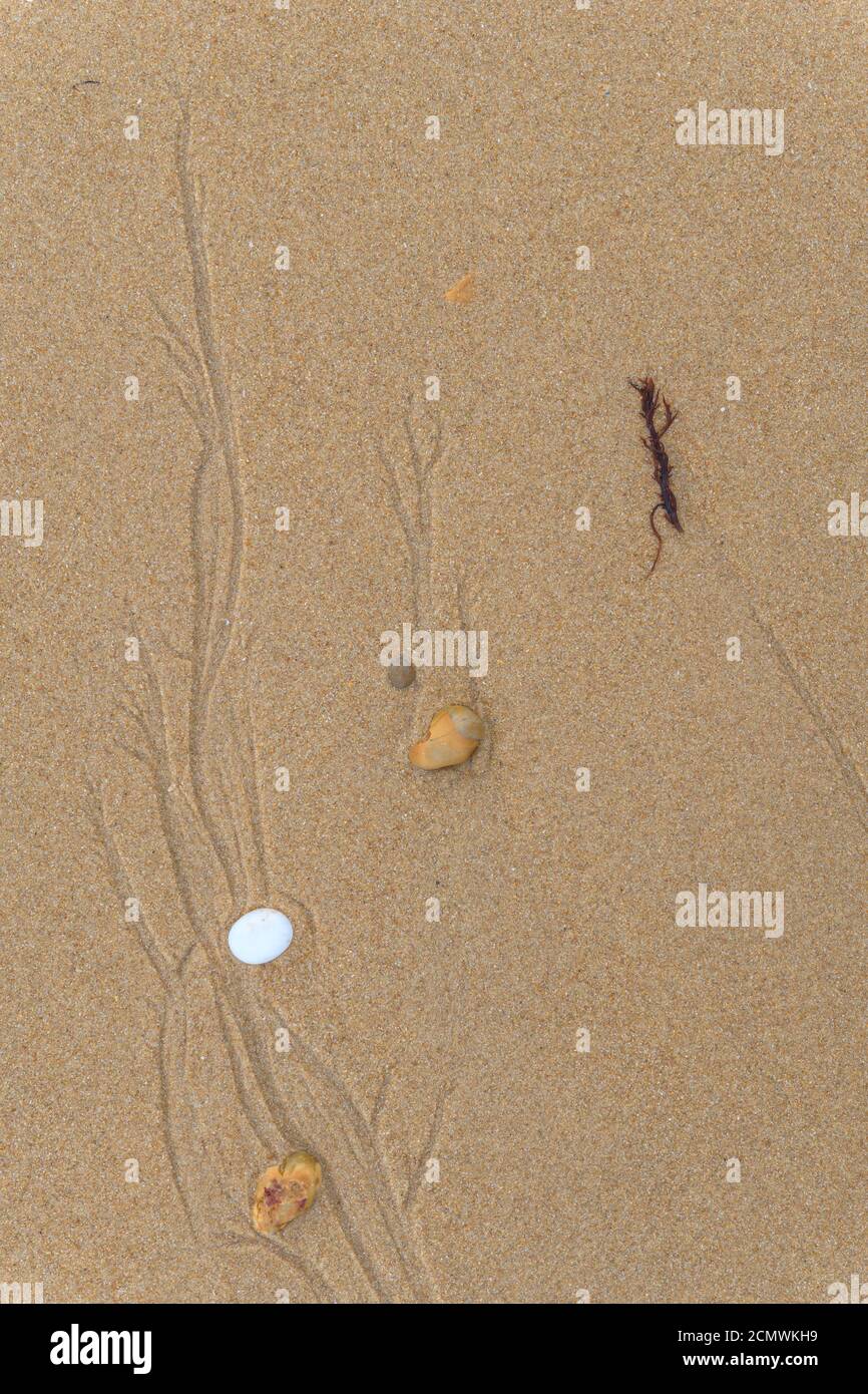 Natural Sand Art of the Beach atlantic ocean Stock Photo - Alamy