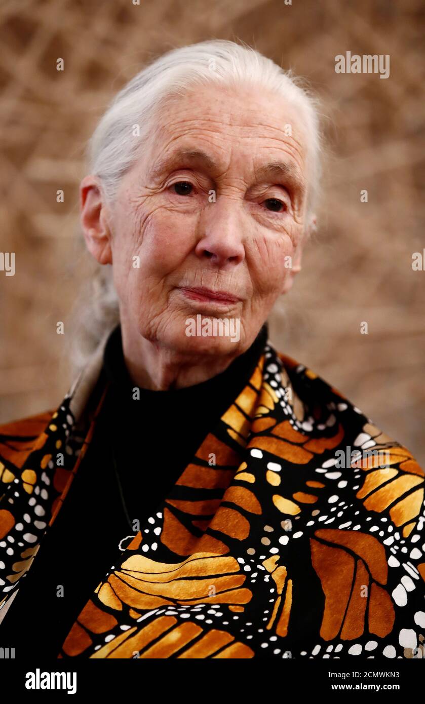 Anthropologist interview hi-res stock photography and images - Alamy