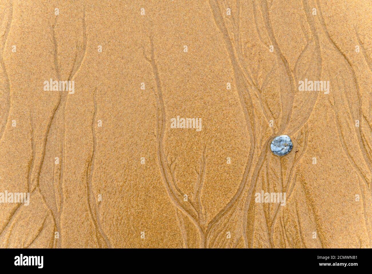 Natural Sand Art of the Beach atlantic ocean Stock Photo - Alamy