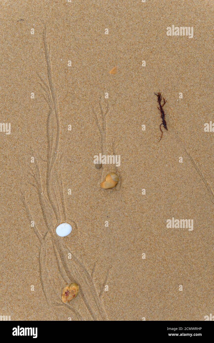 Natural Sand Art of the Beach atlantic ocean Stock Photo - Alamy