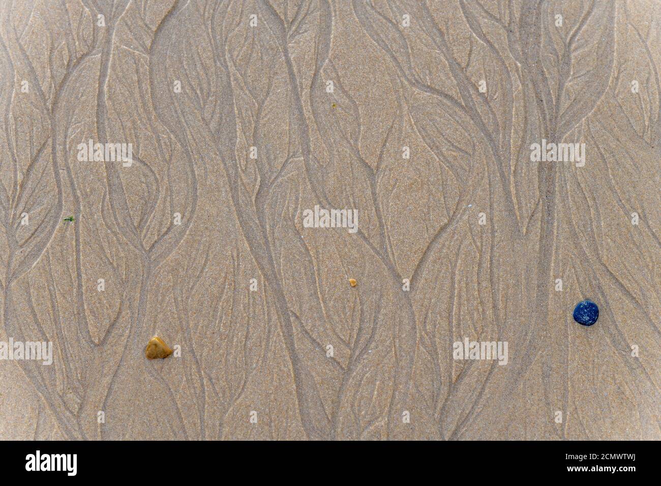 Natural Sand Art of the Beach atlantic ocean Stock Photo - Alamy