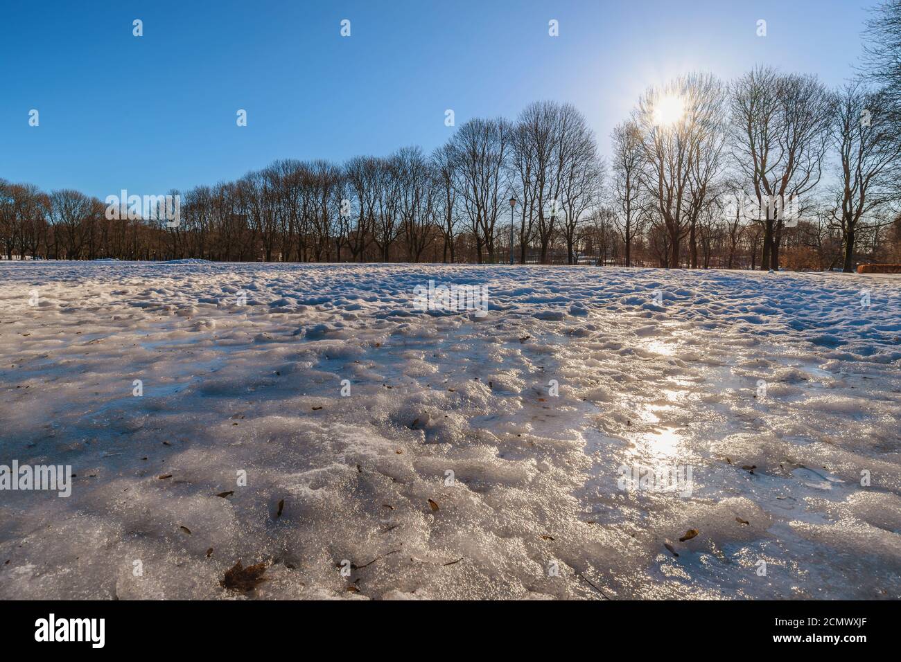 Oslo winter landscape at Vigeland Sculpture Park with snow and dry tree ...
