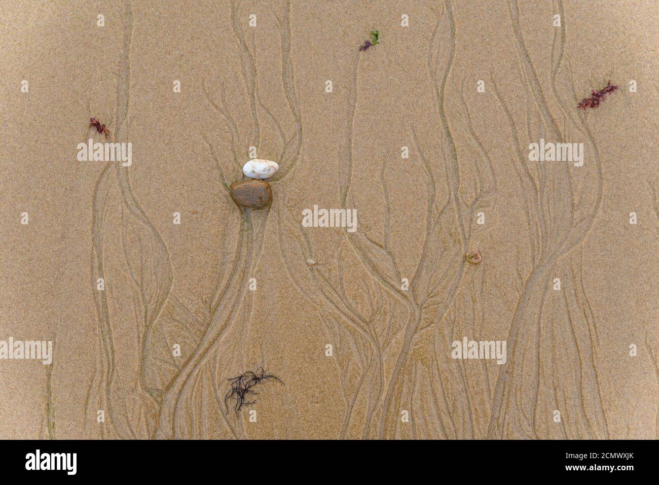 Natural Sand Art of the Beach atlantic ocean Stock Photo - Alamy